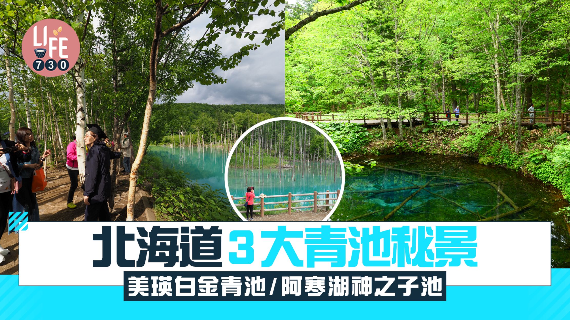 北海道3大青池秘景 美瑛白金青池/阿寒湖神之子池/富良野鳥沼公園 | am730