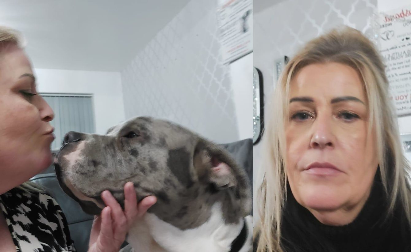 英婦贏彩券13萬獎金全數救狗 幾個月後遭不幸被車撞死喪命 | am730