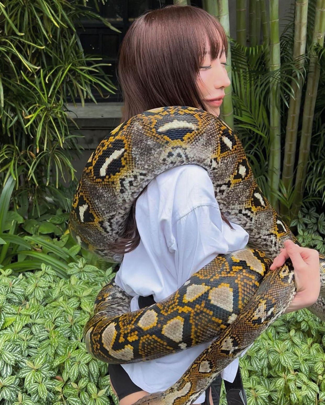 清水藍里膽大過胸 台灣玩蛇曬H Cup上圍 | am730