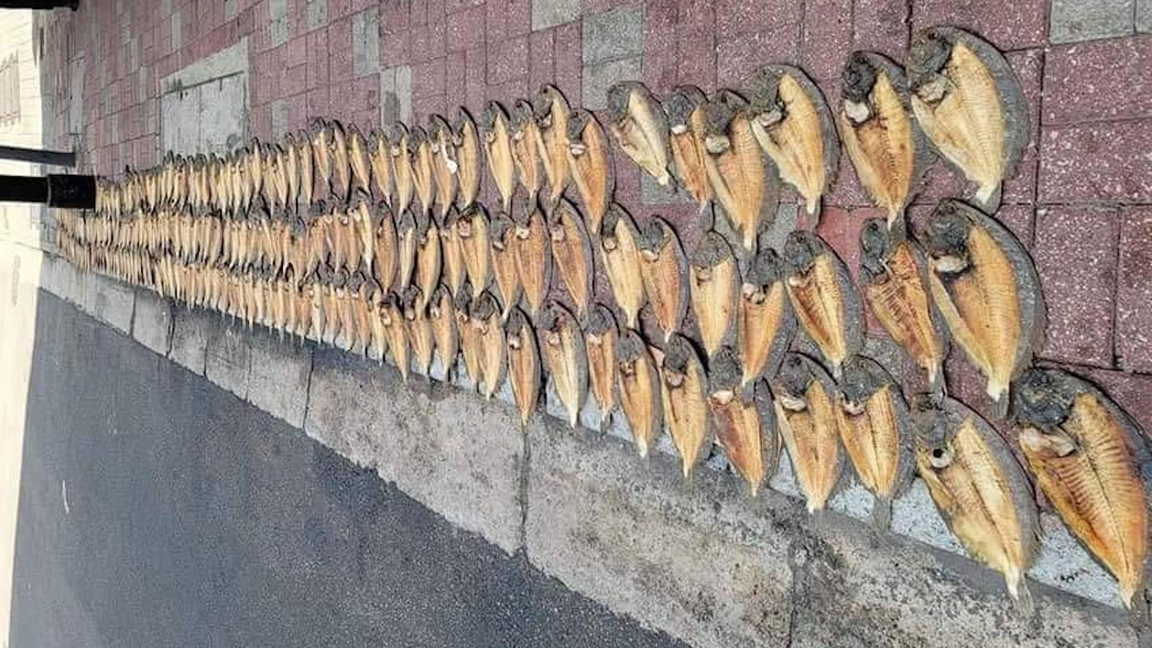 網上熱話｜中環羅富記粥麵店馬路邊曬魚乾 網民：真正「大地魚」 | am730