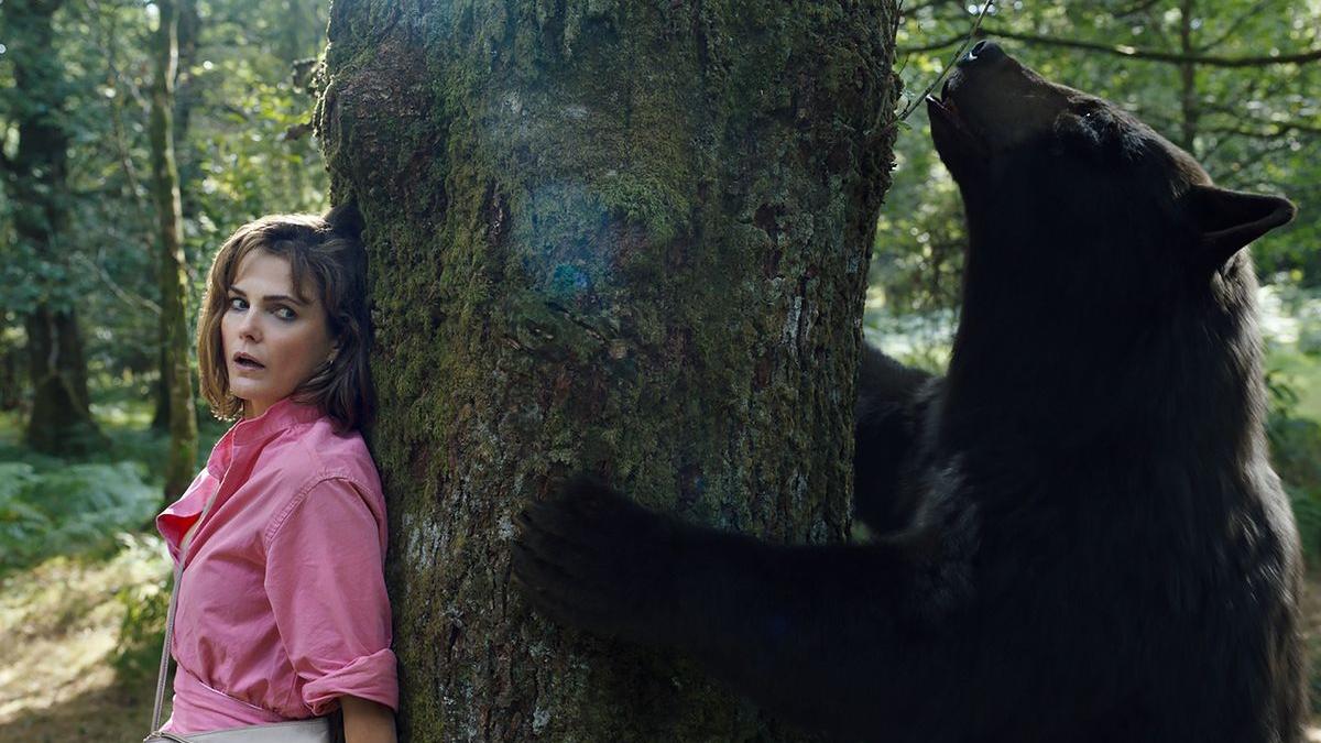 大毒BEAR｜1985年真熊真事 500磅黑熊吸下70磅可卡因大開殺界 | am730