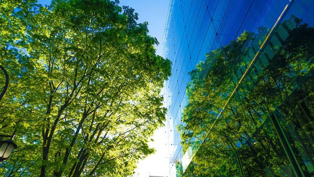 全球減碳轉型 中國積極布局 | am730