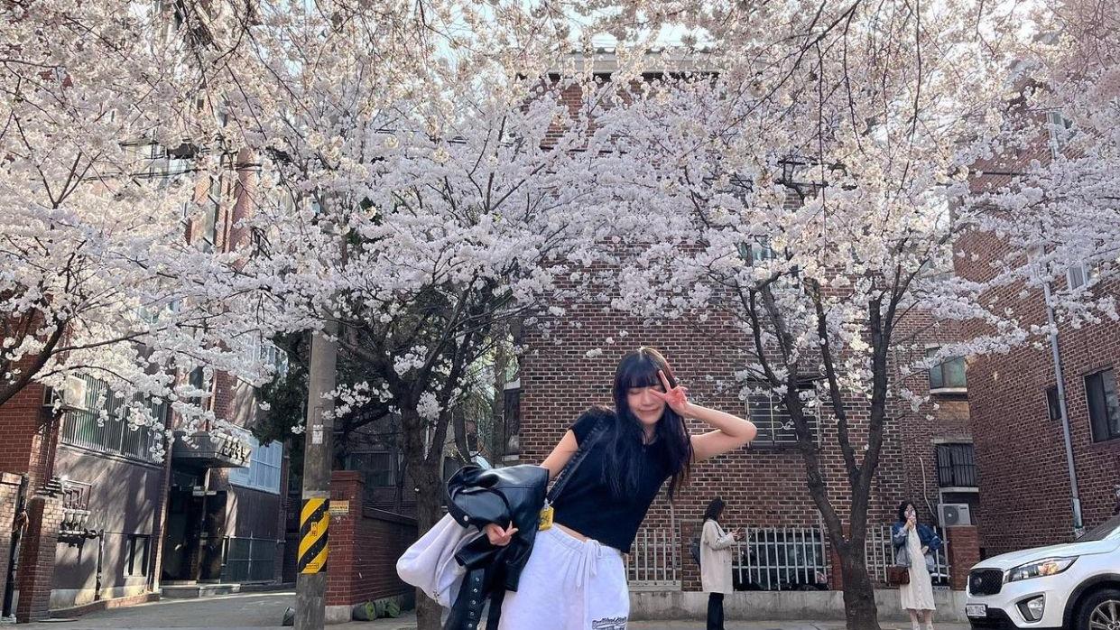 So Ching@COLLAR飛南韓叉電 櫻花樹下留倩影 | am730