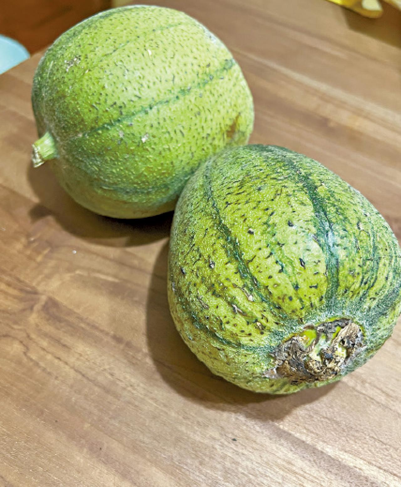 絲瓜水瓜食譜放送(二) | am730