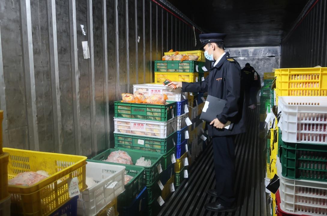 食環署元朗搗破無牌凍房拘1人 銷毀約700公斤冷藏家禽及內臟 | am730