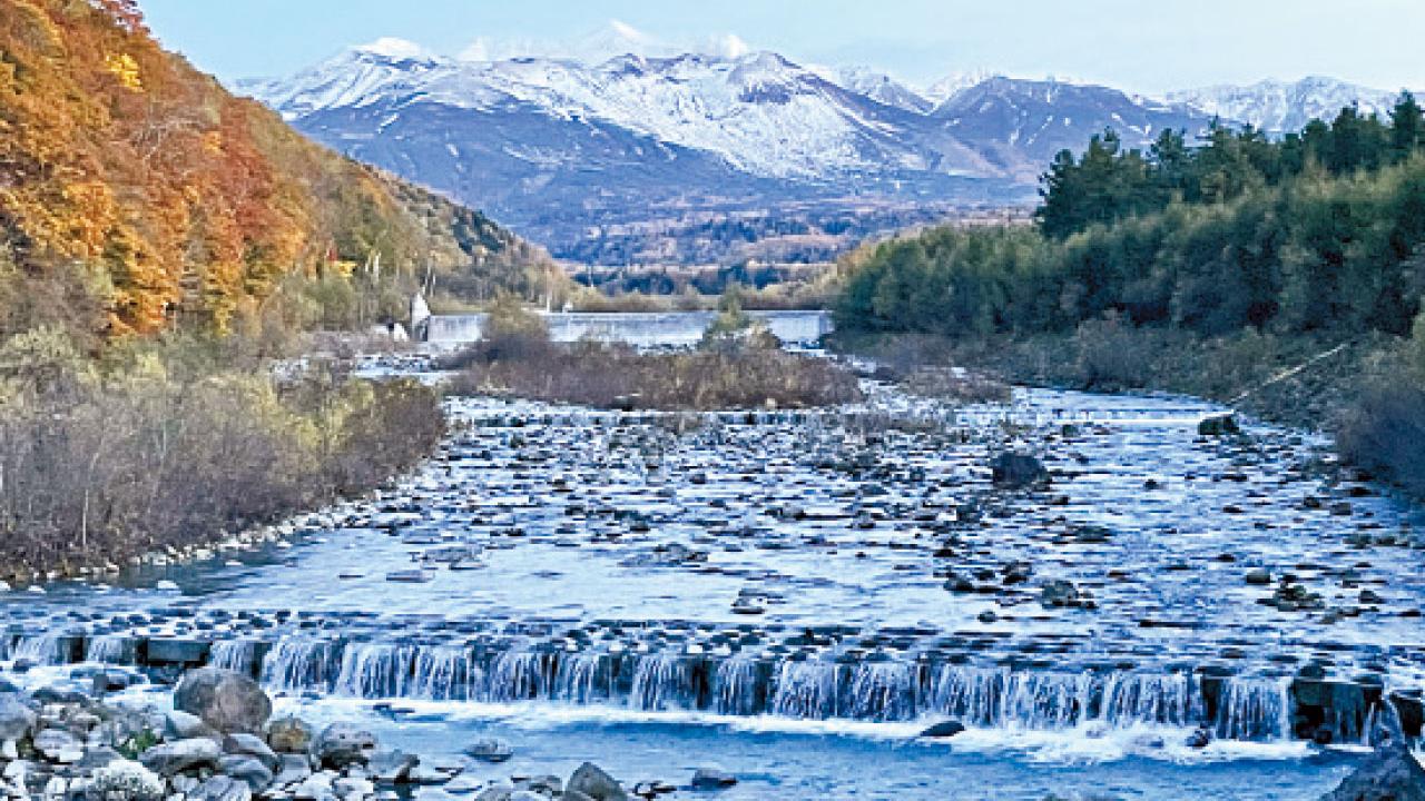 北海道 我期待的親子遊 | am730
