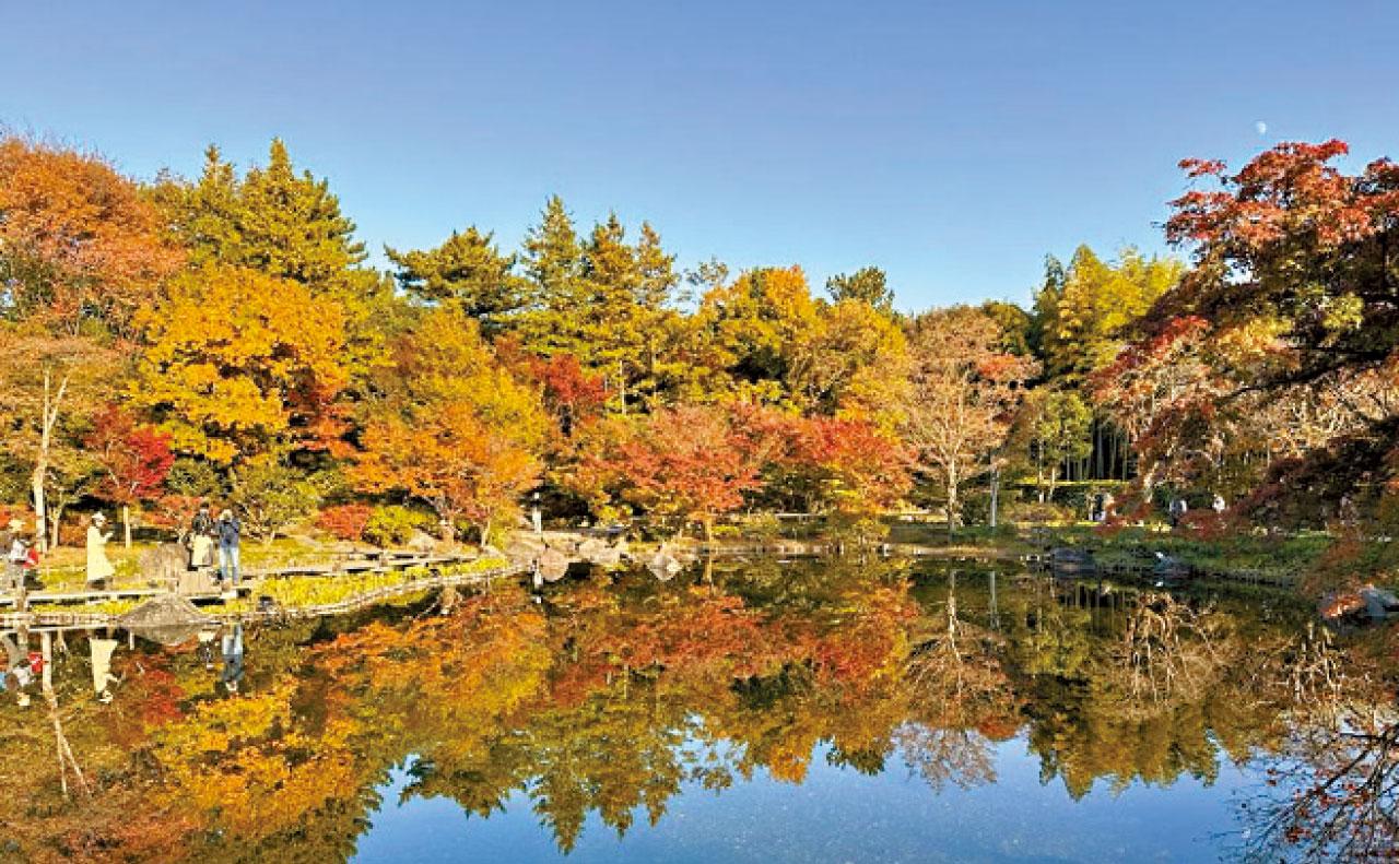 家人開心便開心 | am730