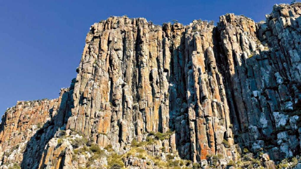 在大自然的當下 | am730