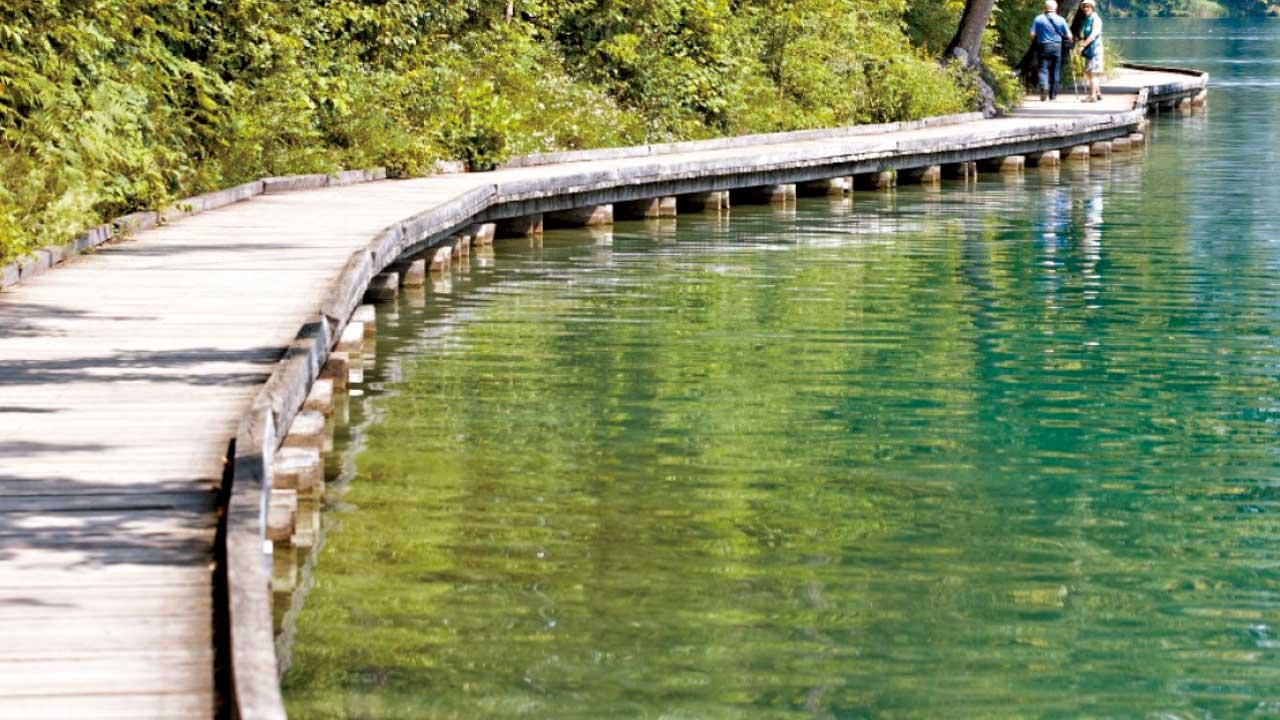 研構建南大嶼生態康樂走廊 議員關注保育 發展局：冀居民有裨益 | am730