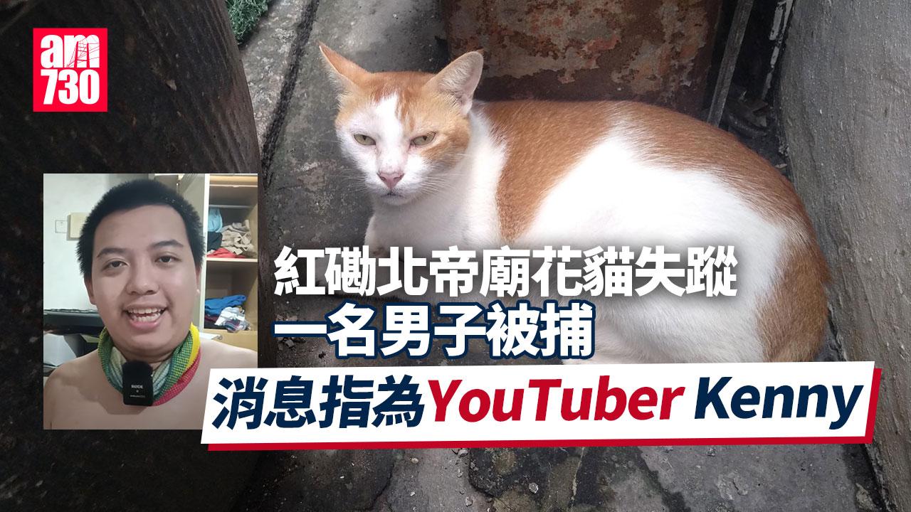 紅磡北帝廟花貓「樂樂」失蹤 YouTuber Kenny被捕 警將貓交還廟祝（更新） | am730