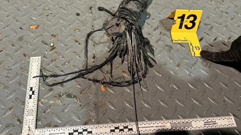 連接德國芬蘭海底光纖電纜遭切斷 黑手疑為俄羅斯 | am730