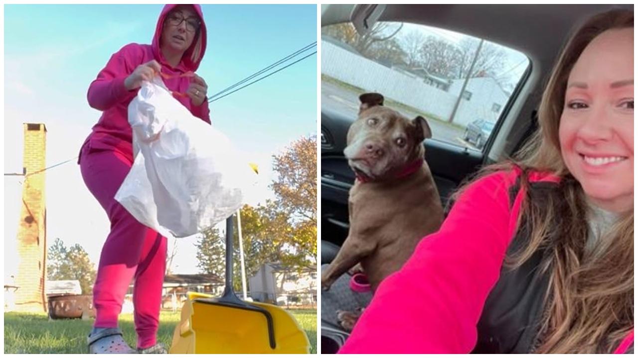 37歲女無讀大學做「鏟屎官」年賺155萬(有片) | am730