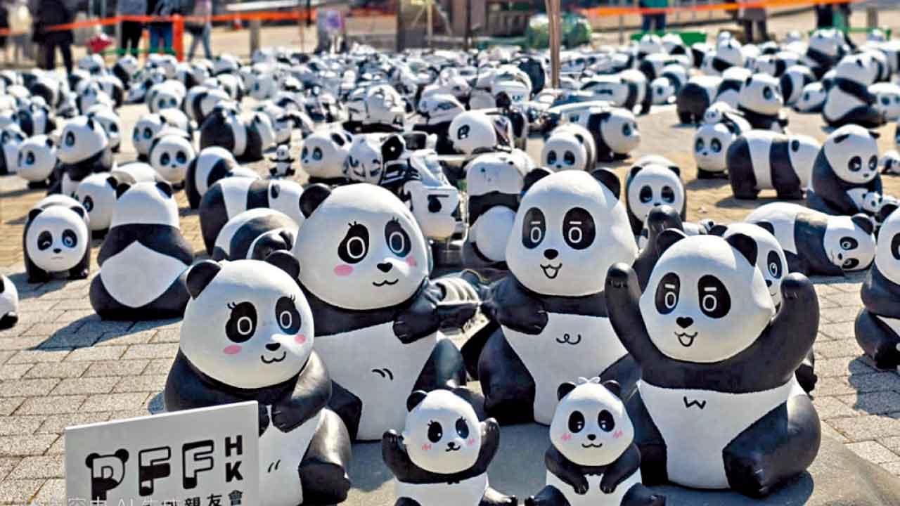 昂坪360成功在於懂變通 | am730