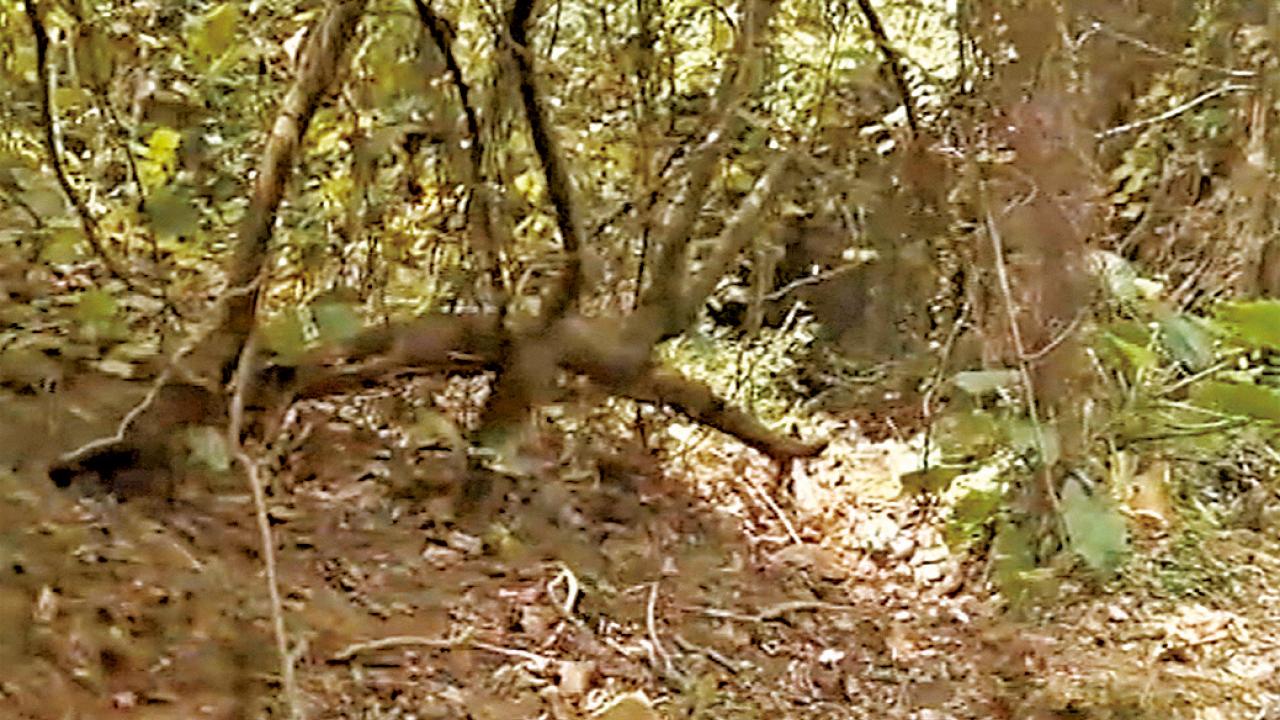 行山失足墮坡困兩日 68歲男清醒送院 | am730