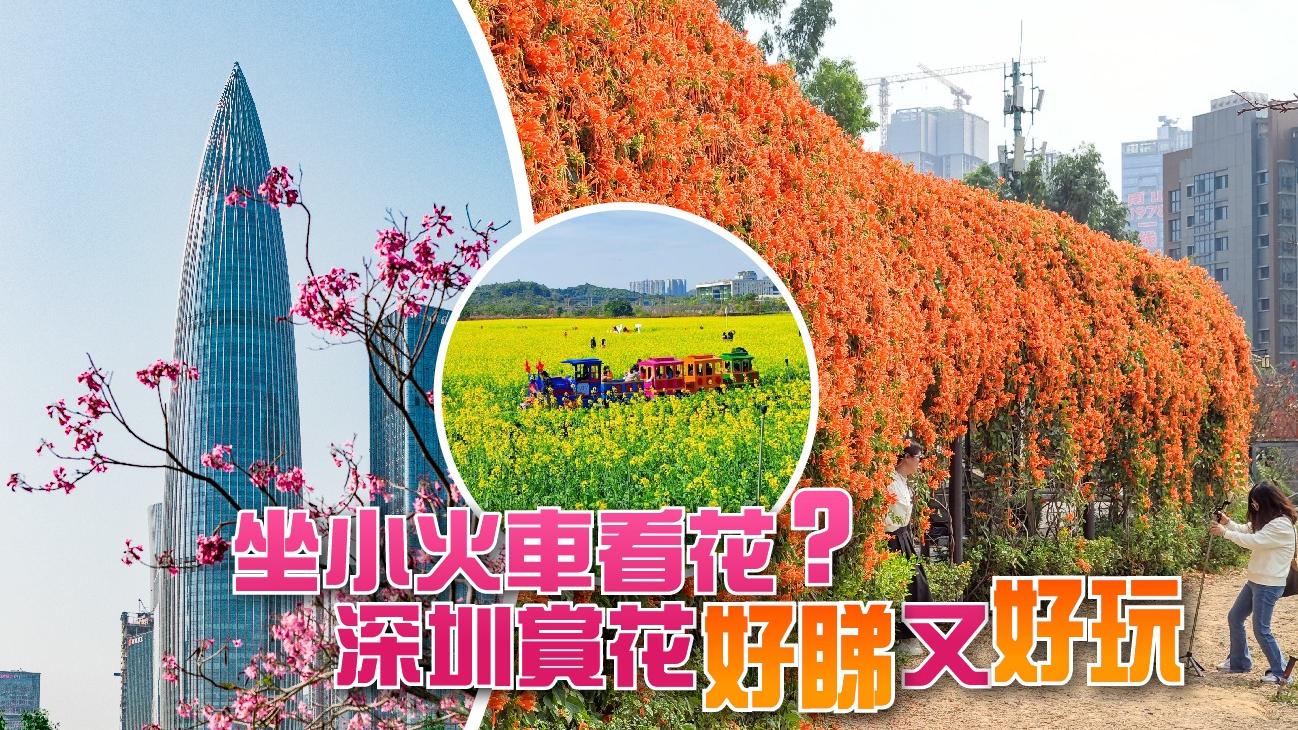 坐小火車看花？ 深圳賞花好睇又好玩 | am730