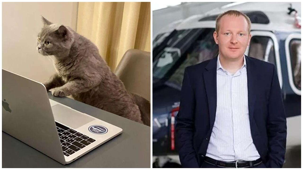 CEO徵貓保姆周薪可高達1.2萬元 逢周五播古典音樂畀貓聽(有片) | am730